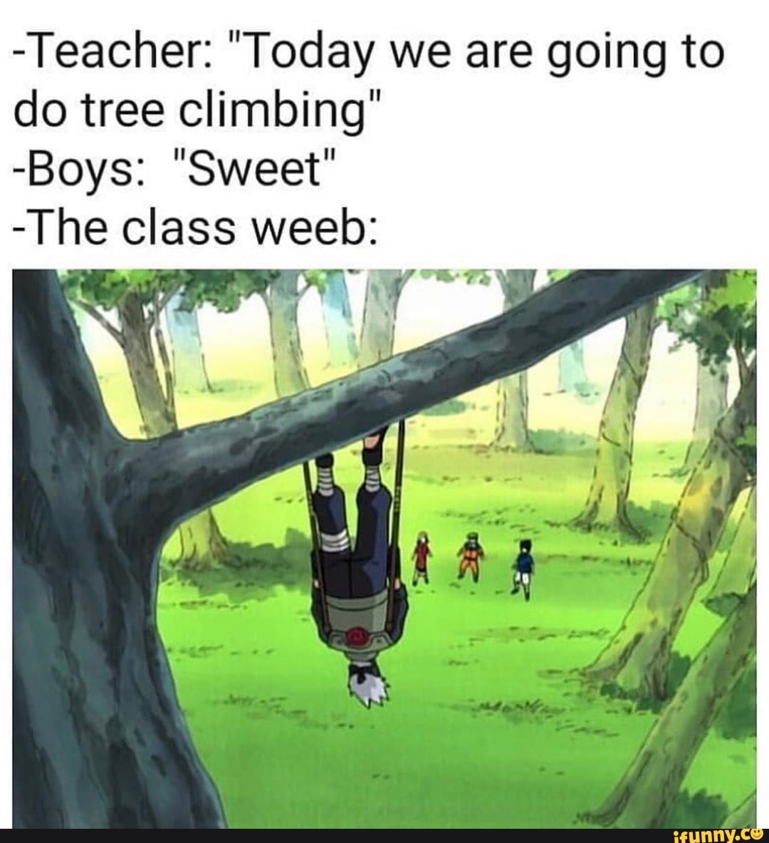 -Teacher: "Today we are going to do tree climbing' -The class weeb ...
