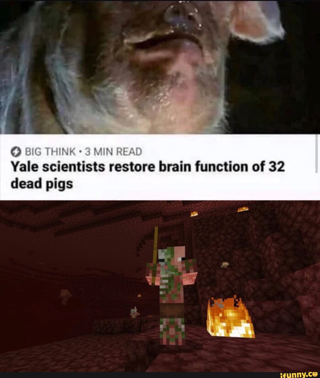 BIG THINK 3 MIN READ Yale scientists restore brain function of 32 dead ...