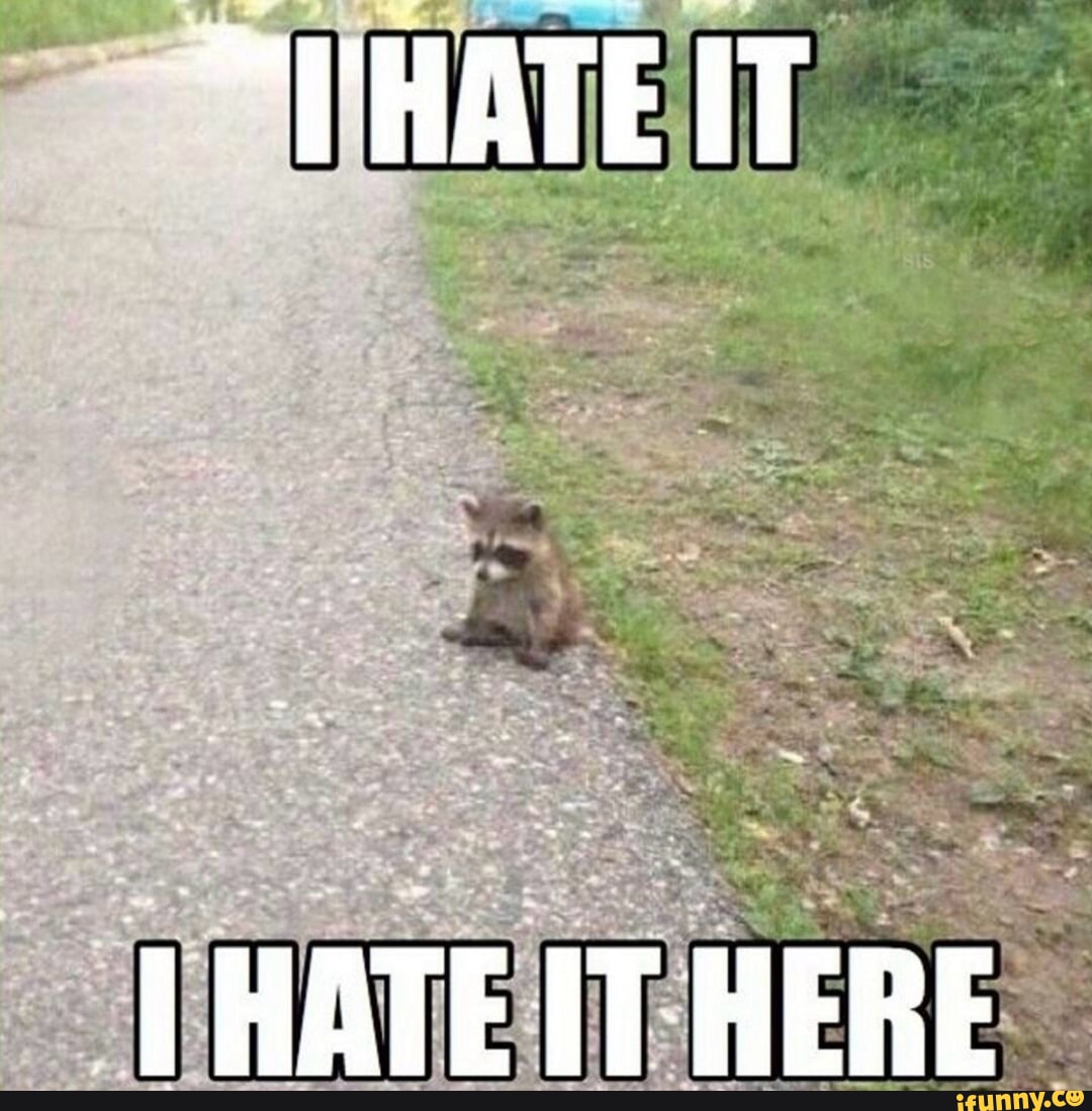 IT I HATE IT HERE - iFunny