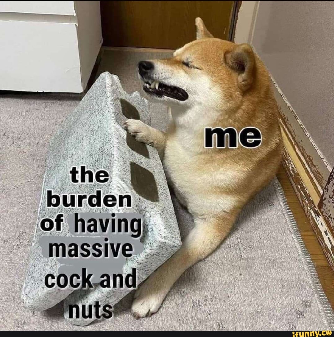 Shibainu memes. Best Collection of funny Shibainu pictures on iFunny