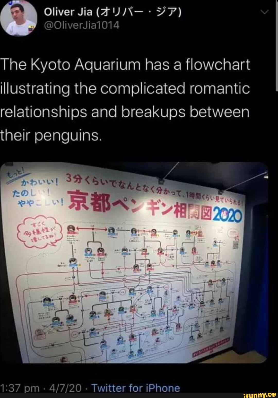 Flowchart memes. Best Collection of funny Flowchart pictures on iFunny