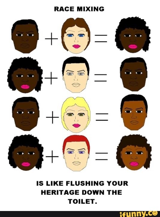 RACE MIXING II IS LIKE FLUSHING YOUR HERITAGE DOWN THE TOILET. - iFunny