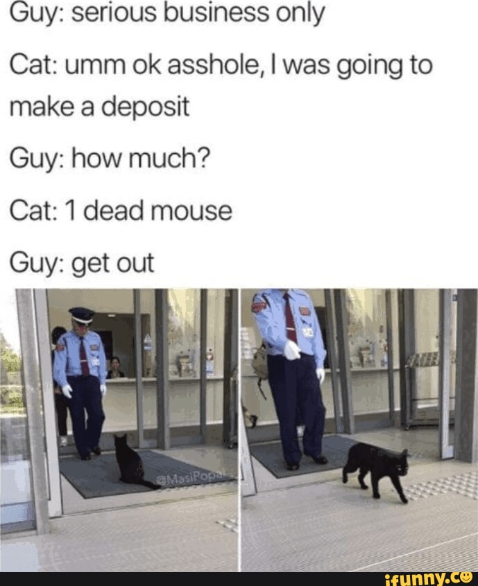 Business Cat Meme Dead Mouse