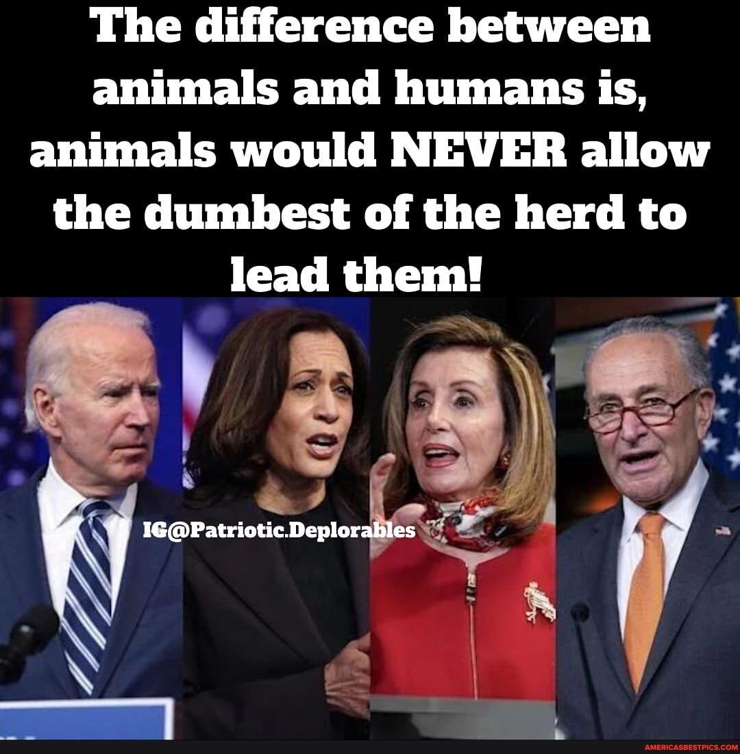 The difference between animals and humans is, animals would NEVER allow ...