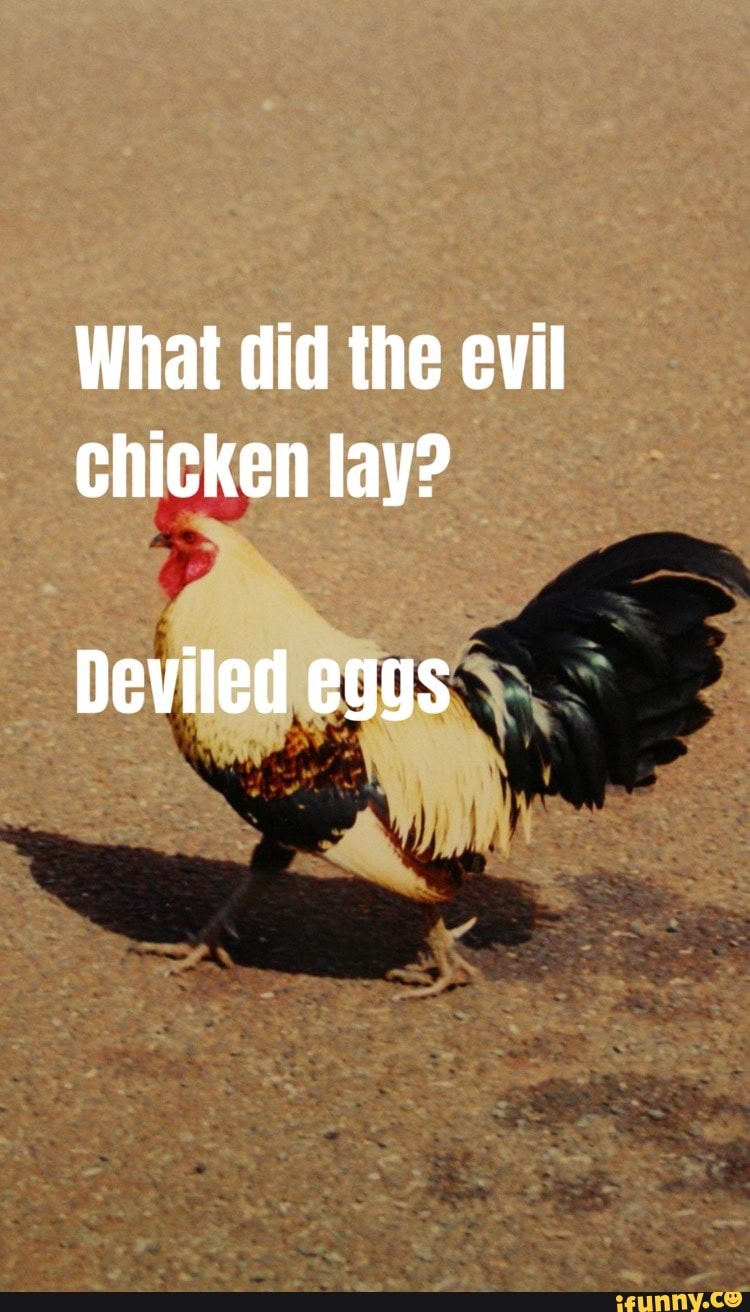 What did the evil chicken lay? Deviled eggs - iFunny
