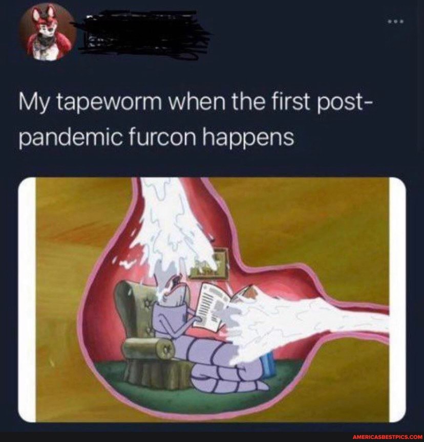 My tapeworm when the first post- pandemic furcon happens - America’s ...