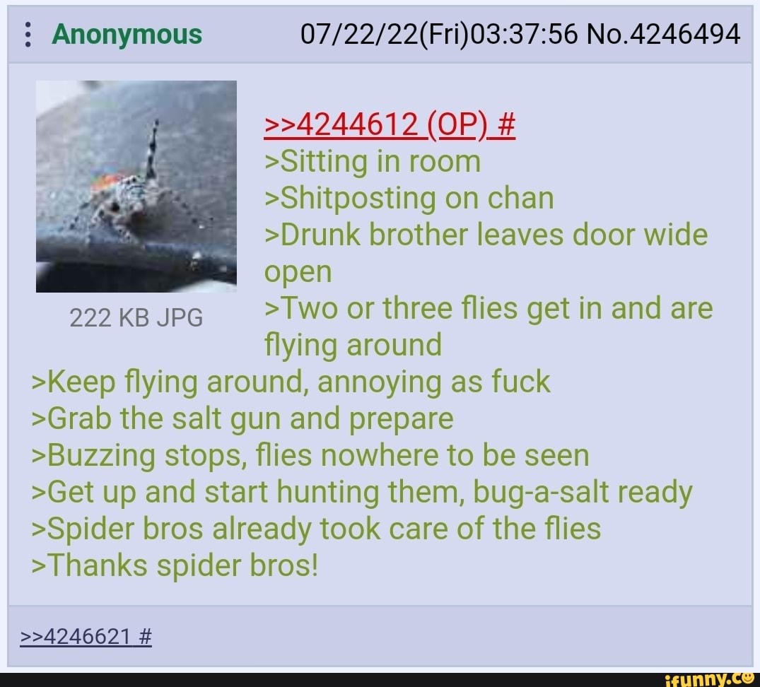 Spiderbro memes. Best Collection of funny Spiderbro pictures on iFunny
