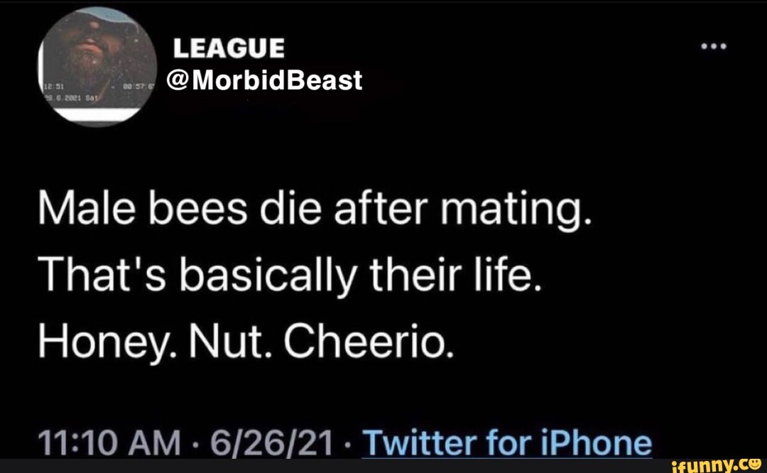 LEAGUE @MorbidBeast Male bees die after mating. That's basically their ...