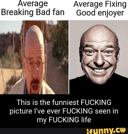 Average Average Fixing Breaking Bad fan I Good enjoyer This is the ...