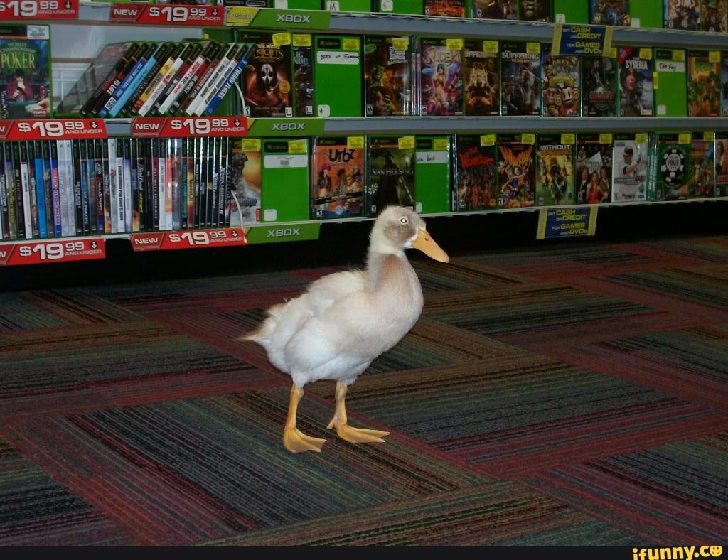 Yakub memes. Best Collection of funny Yakub pictures on iFunny