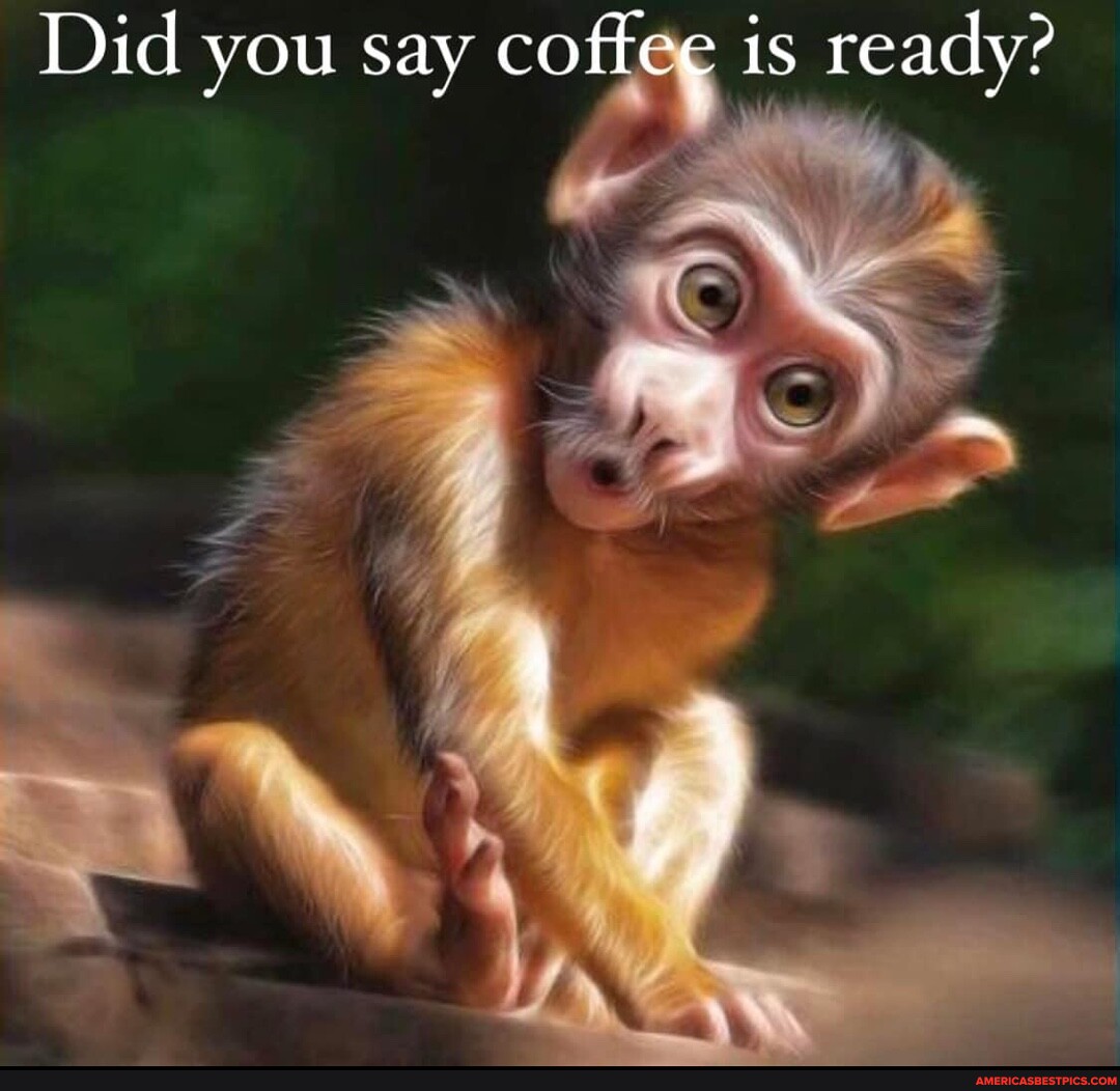 Did you say coffee is ready? - America’s best pics and videos