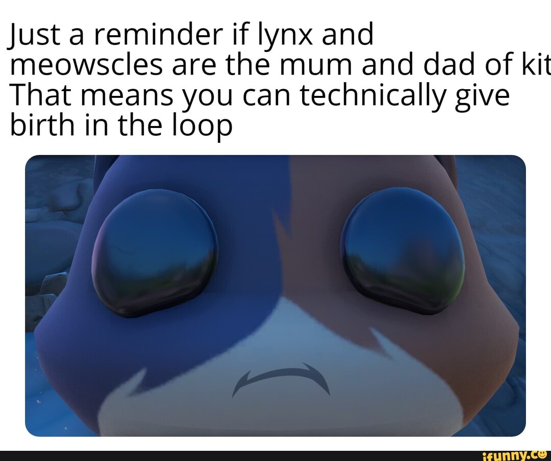 Just a reminder if lynx and meowscles are the mum and dad of kit That ...