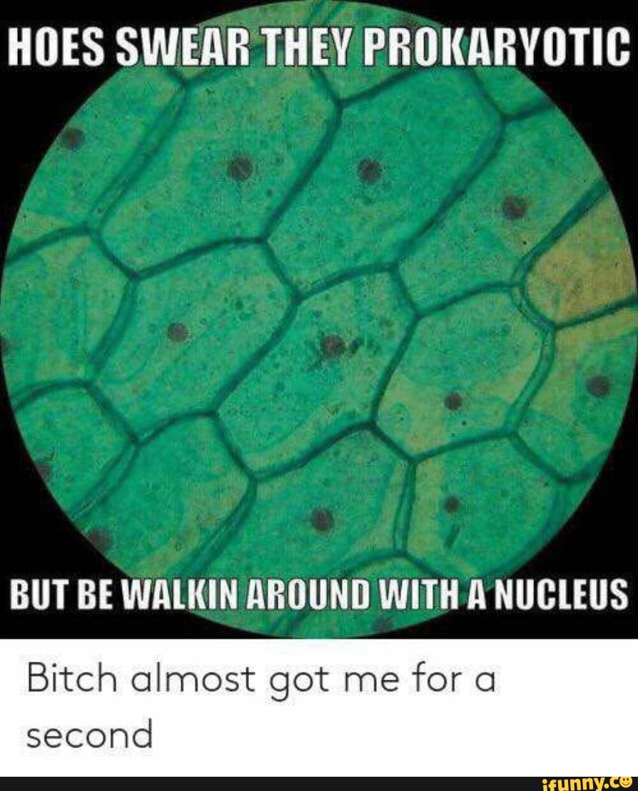 Prokaryotic memes. Best Collection of funny Prokaryotic pictures on iFunny