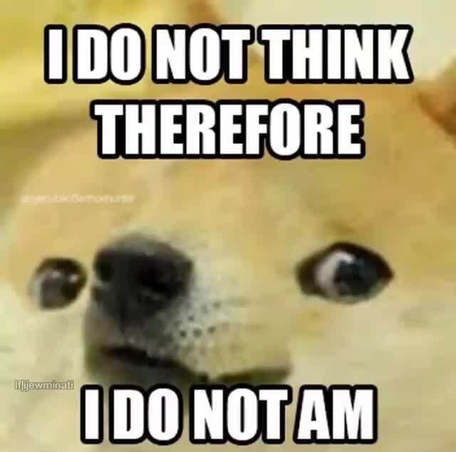 1 NOT THINK THEREFORE NOTAM - iFunny :)