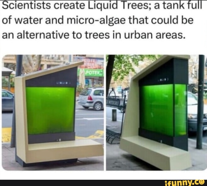 Scientists create Liquid Trees; a tank full of water and micro-algae ...