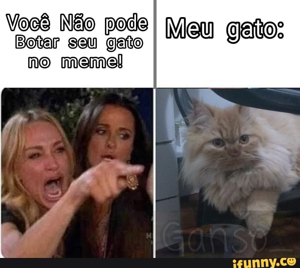Você Não pode I Mew gartos sou gato no memel - iFunny Brazil