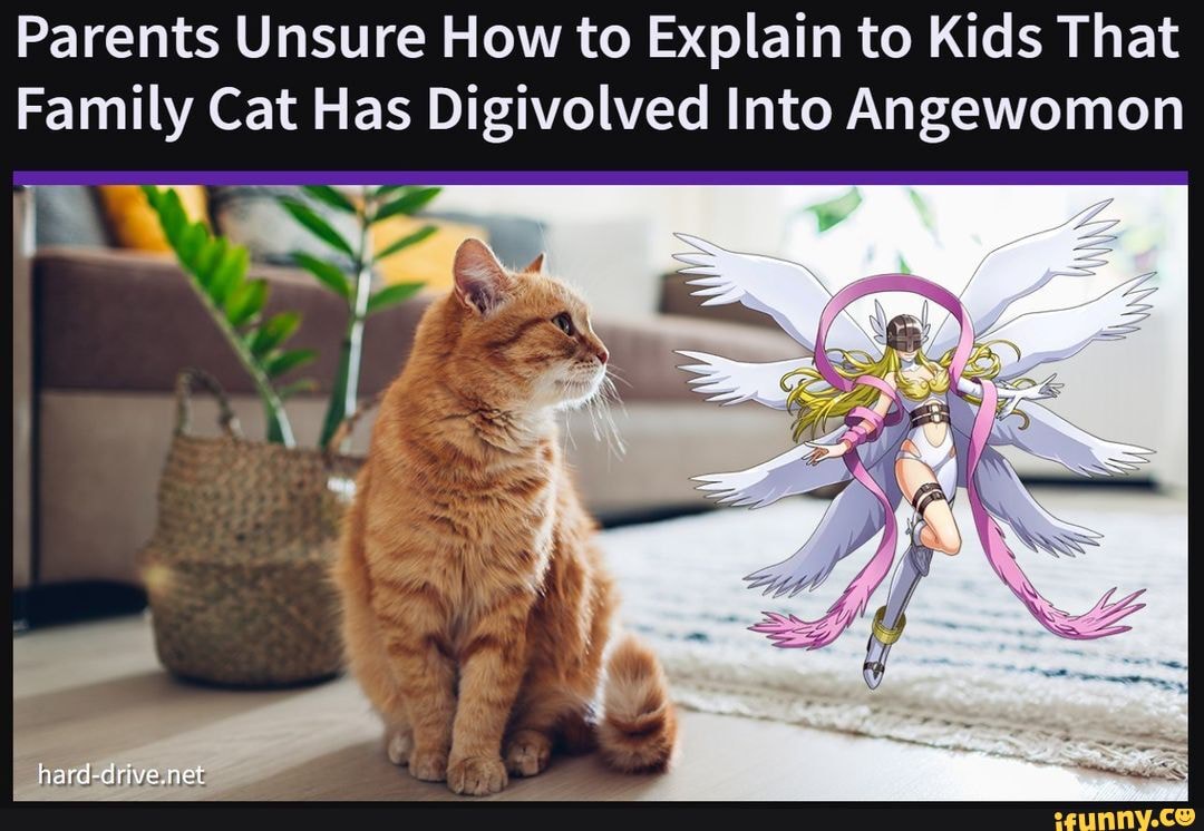 Angewomon memes. Best Collection of funny Angewomon pictures on iFunny