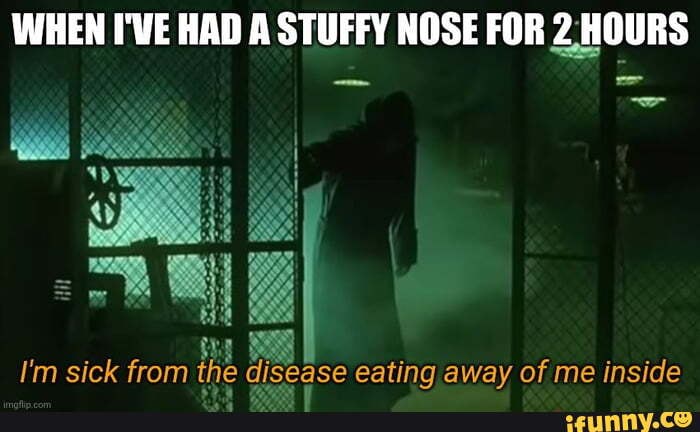 Stuffy memes. Best Collection of funny Stuffy pictures on iFunny