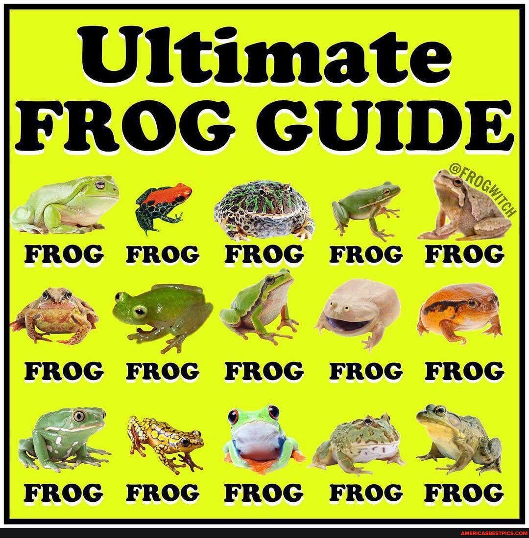 N/A - Ultimate FROG GUIDE FROG FROG FROG FROG FROG FROG FROG FROG FROG ...