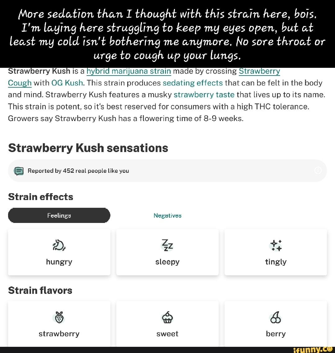 Sedation memes. Best Collection of funny Sedation pictures on iFunny