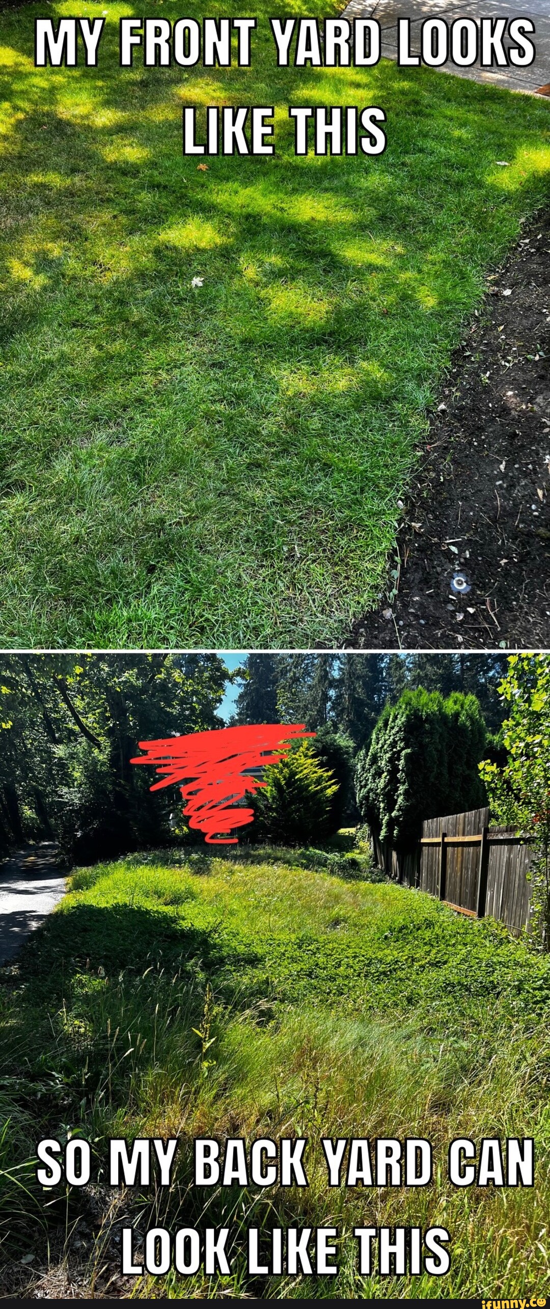 MY FRONT YARD LOOKS LIKE THIS SO MY BACK YARD CAN LOOK LIKE THIS - iFunny
