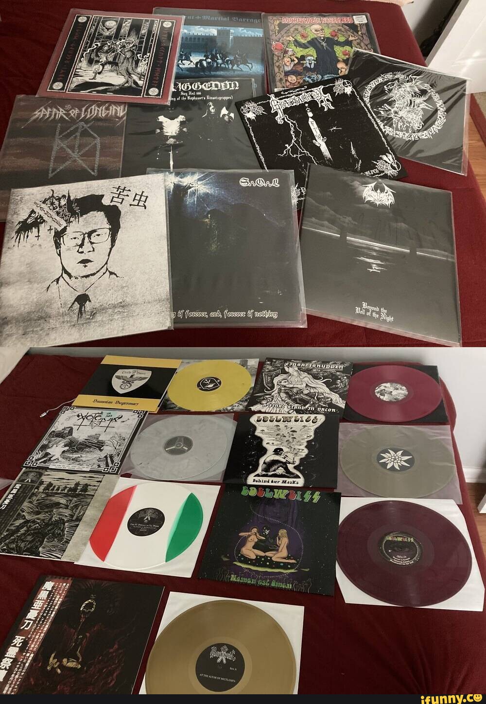 Edelweiss memes. Best Collection of funny Edelweiss pictures on iFunny