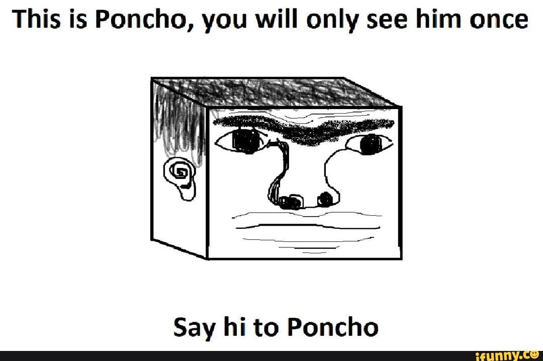 This is Poncho, you will only see him once Say hi to Poncho - iFunny