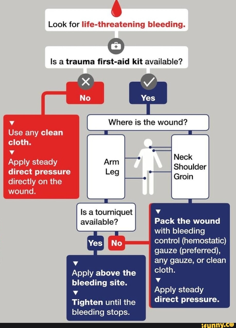 Someone commented that Donald Trump stands like a centaur without its ...