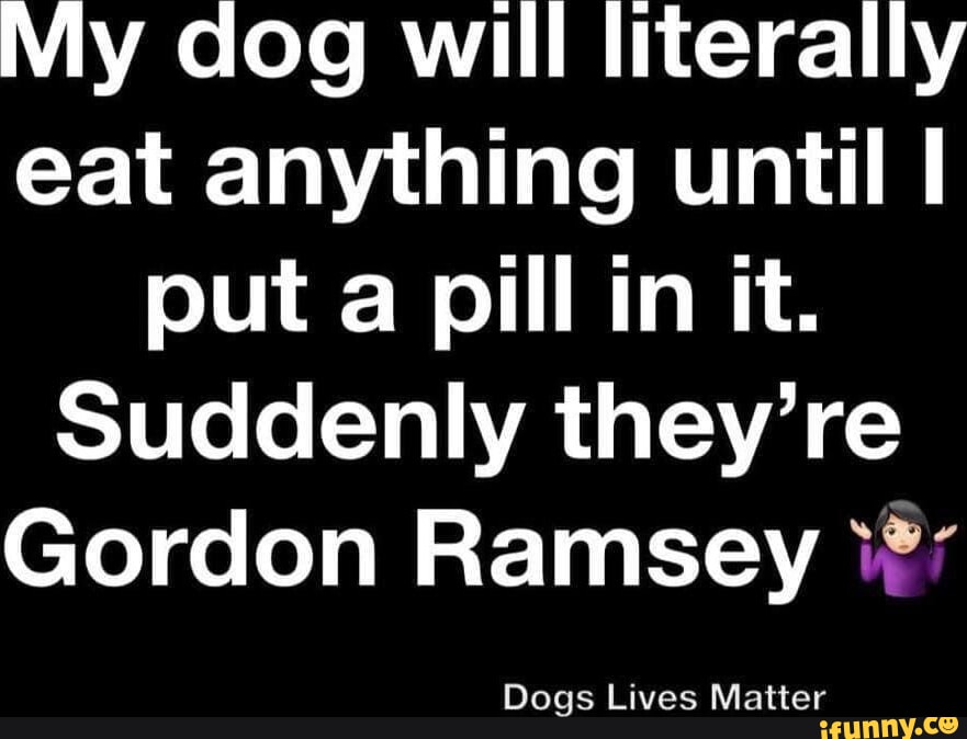 My dog will literally eat anything until I put a pill in it. Suddenly ...