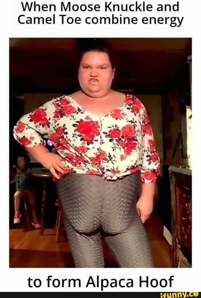 When Moose Knuckle and Camel Toe combine energy to form Alpaca Hoof ...