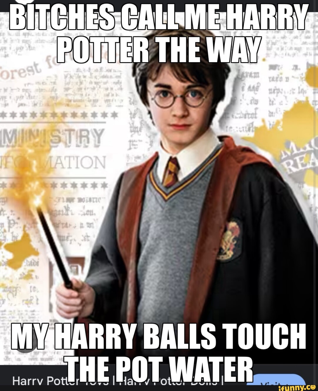 -GALEM MVsHARRY BALLS TOUCH POT WATER - iFunny