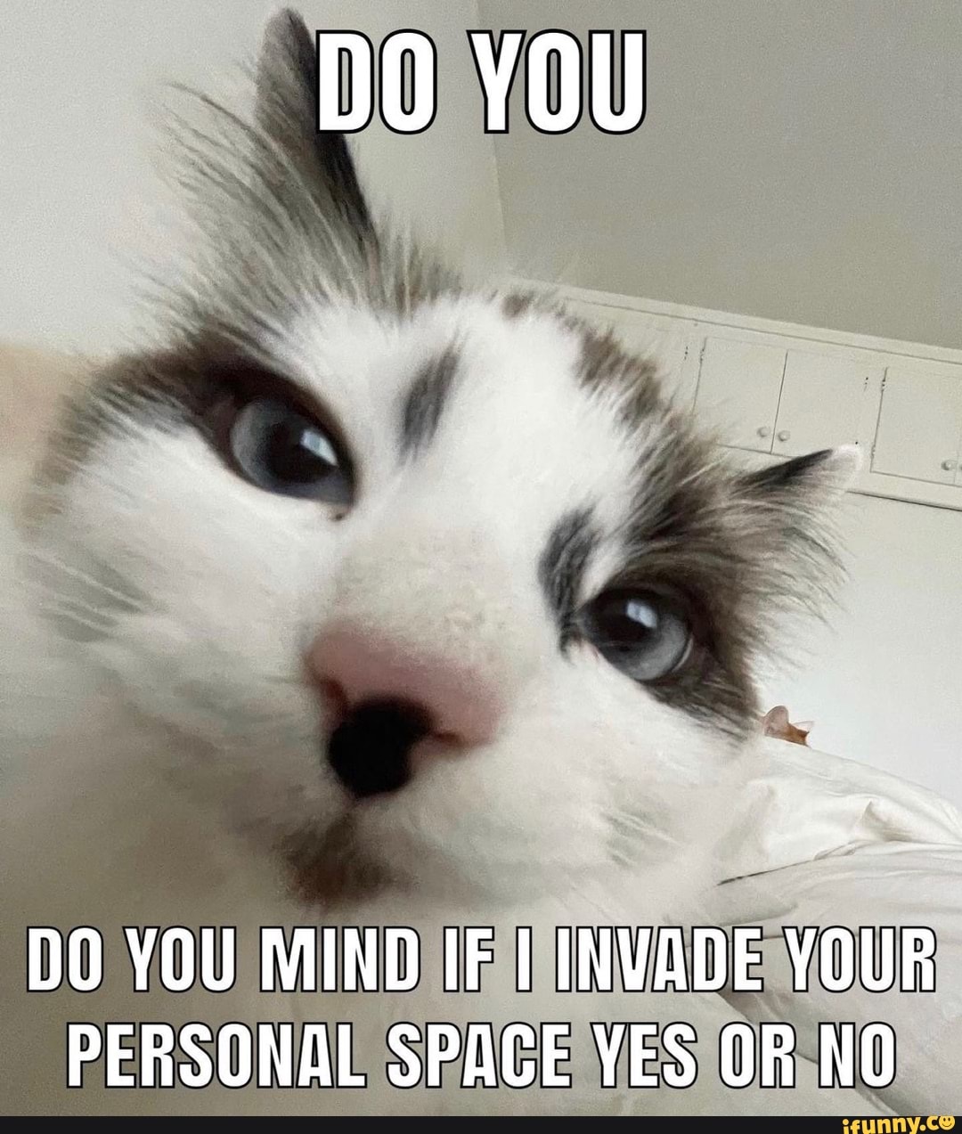 DO YOU DO YOU MIND IF INVADE YOUR PERSONAL SPACE YES OR NO - iFunny