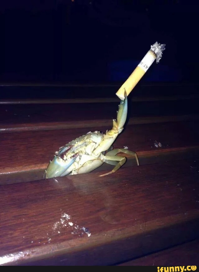 Smoking memes. Best Collection of funny Smoking pictures on iFunny