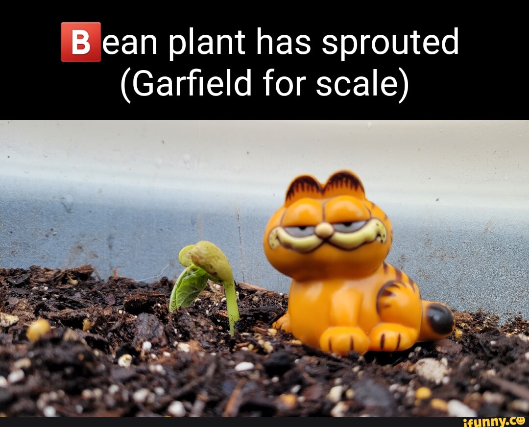 Sprouted memes. Best Collection of funny Sprouted pictures on iFunny
