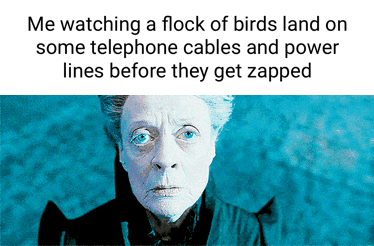 Zapped memes. Best Collection of funny Zapped pictures on iFunny