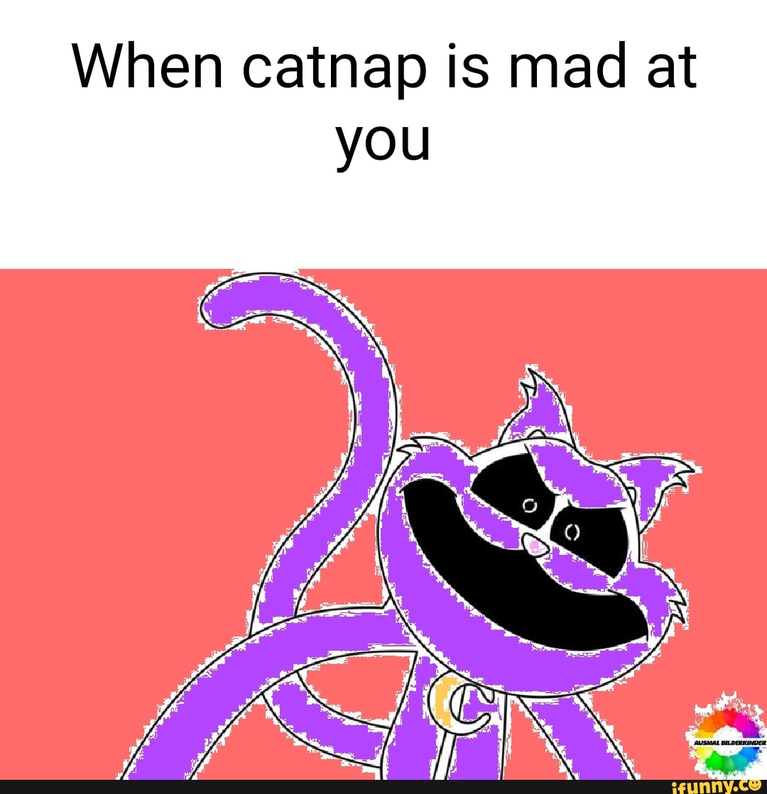 Catnap memes. Best Collection of funny Catnap pictures on iFunny