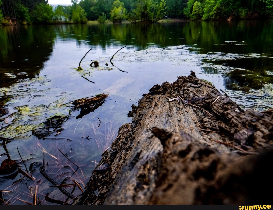 Dslr memes. Best Collection of funny Dslr pictures on iFunny