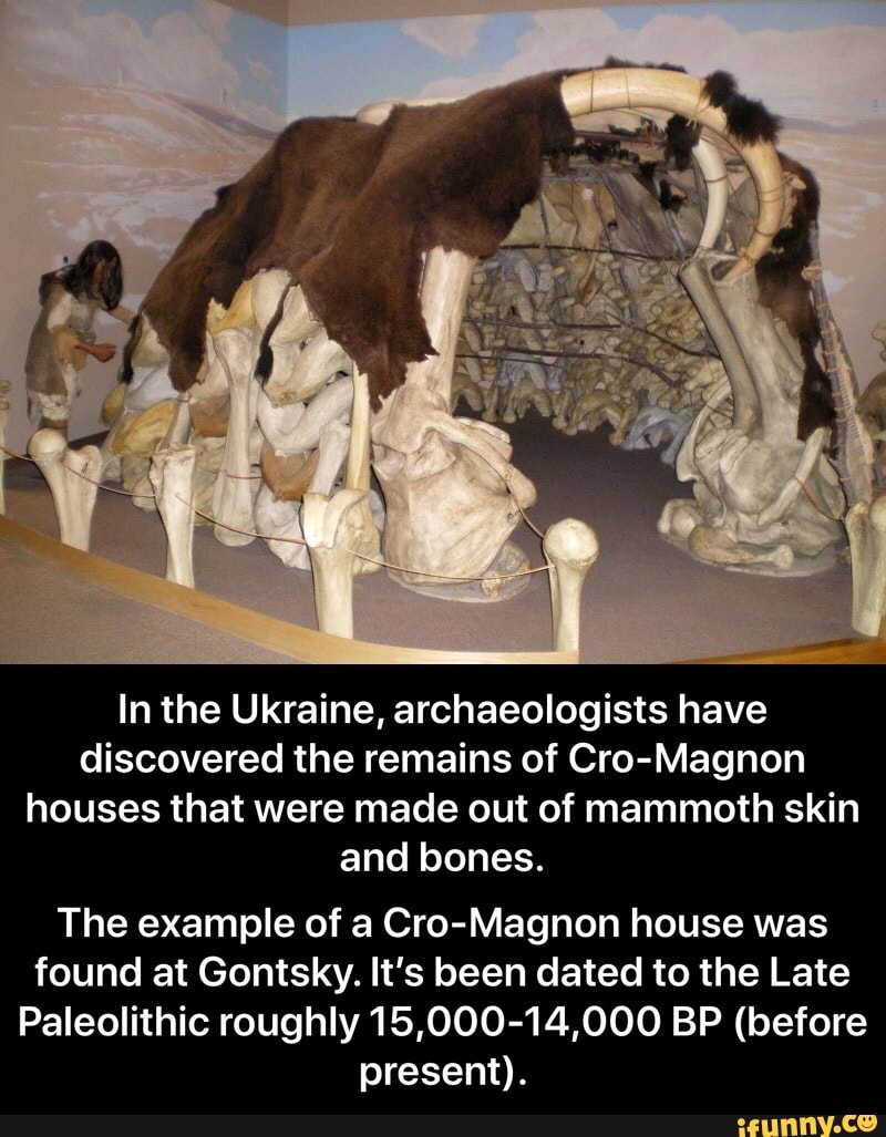 Cro Magnon Huts