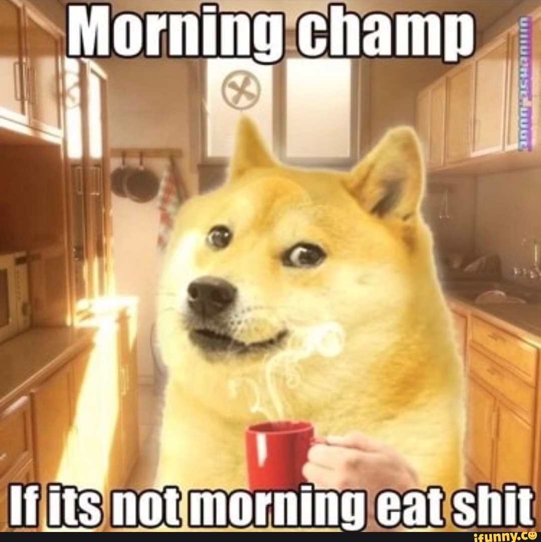 Morning champ If itS not morning eat shit - iFunny