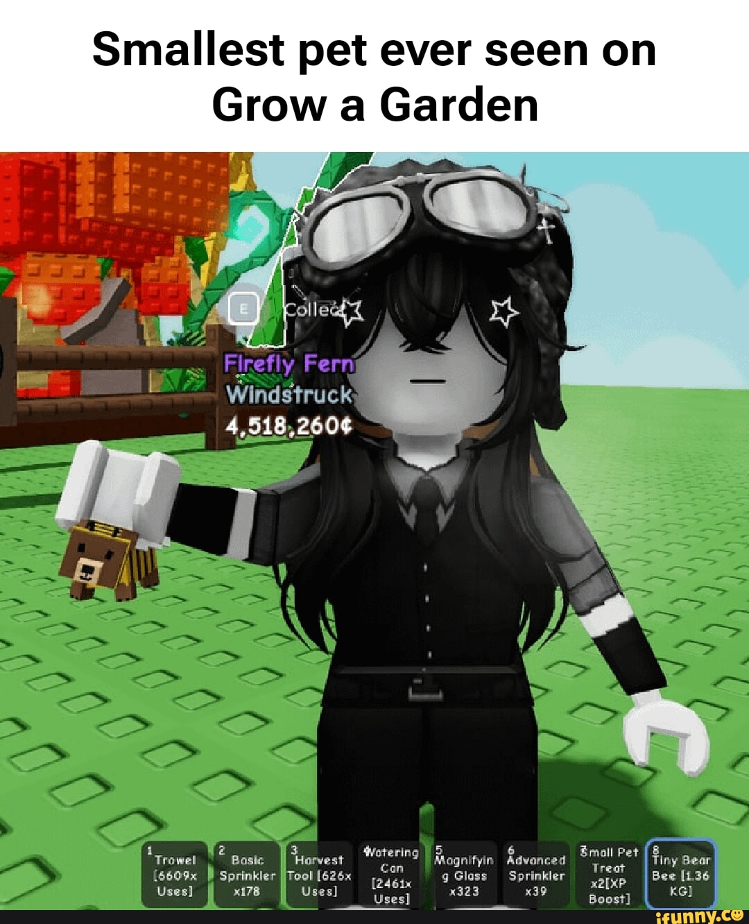 Smallest pet ever seen on Grow a Garden WAS Firefly Ferni Windstruck 2 ...