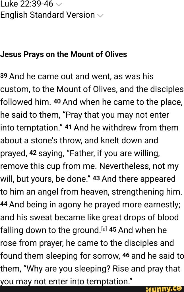 Crucifixion memes. Best Collection of funny Crucifixion pictures on iFunny