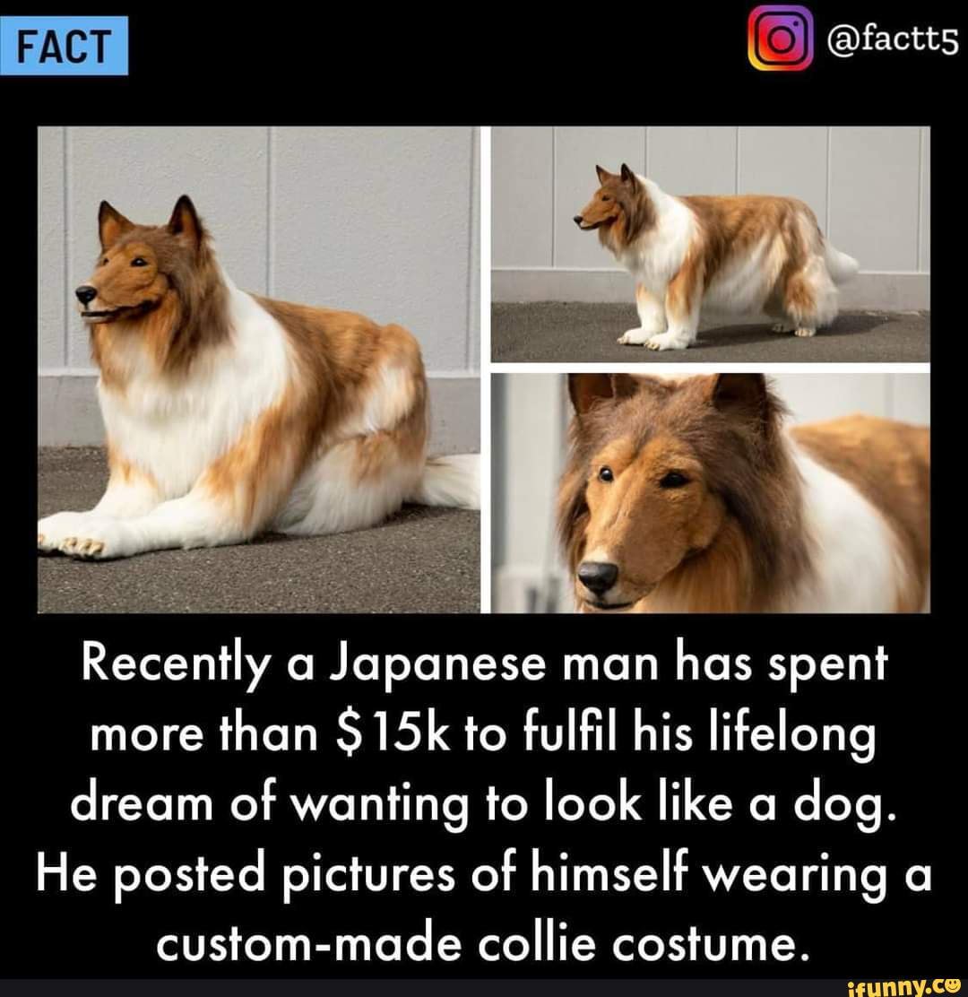 FACT Recently a Japanese man has spent more than $ to fulfil his ...