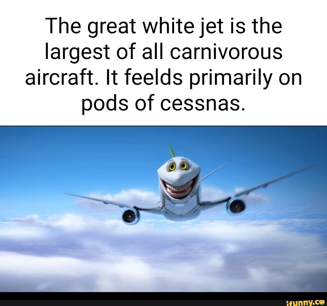 Cessnas memes. Best Collection of funny Cessnas pictures on iFunny