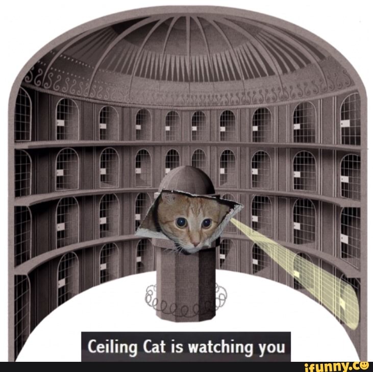 Ceilingcat memes. Best Collection of funny Ceilingcat pictures on iFunny