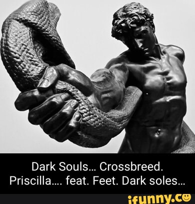 Crossbreed memes. Best Collection of funny Crossbreed pictures on iFunny