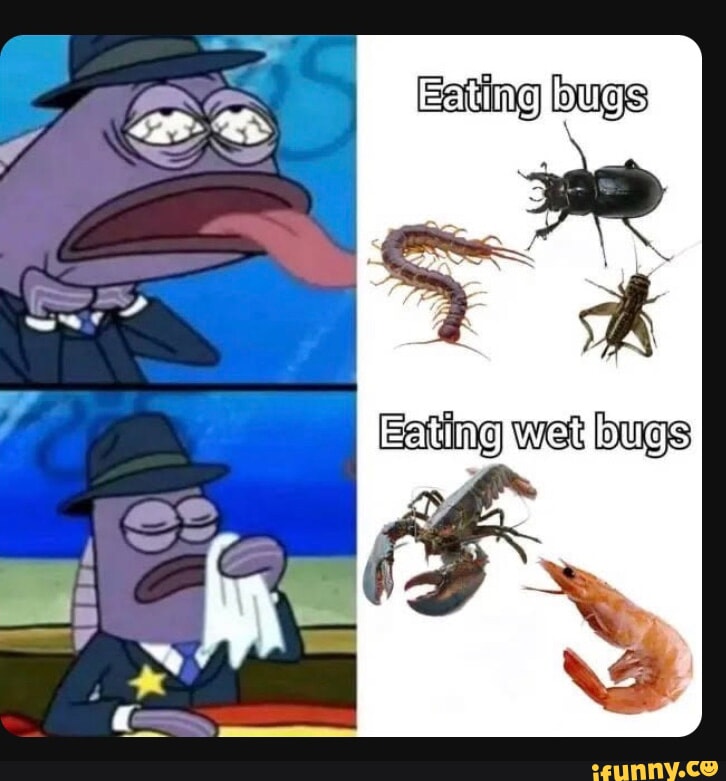 Eating bugs Eating wet bugs - iFunny