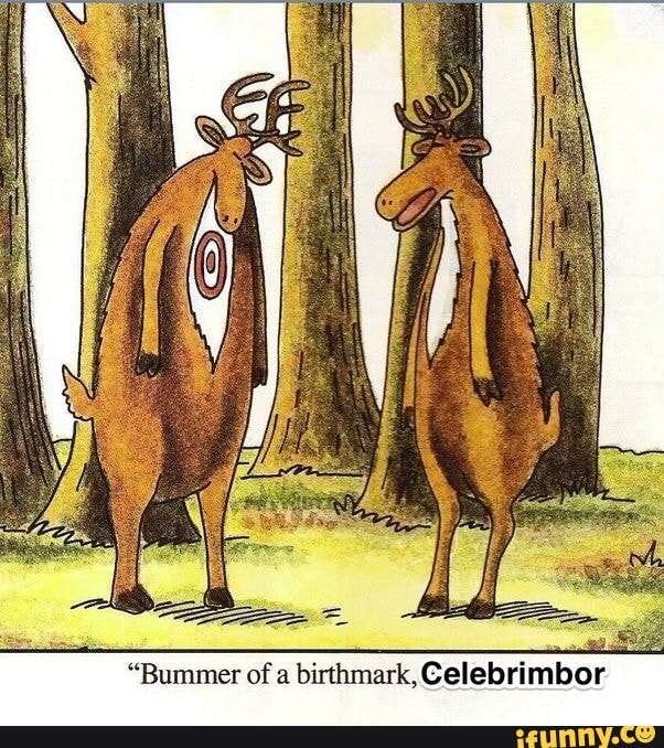 "Bummer of a birthmark, Gal - iFunny