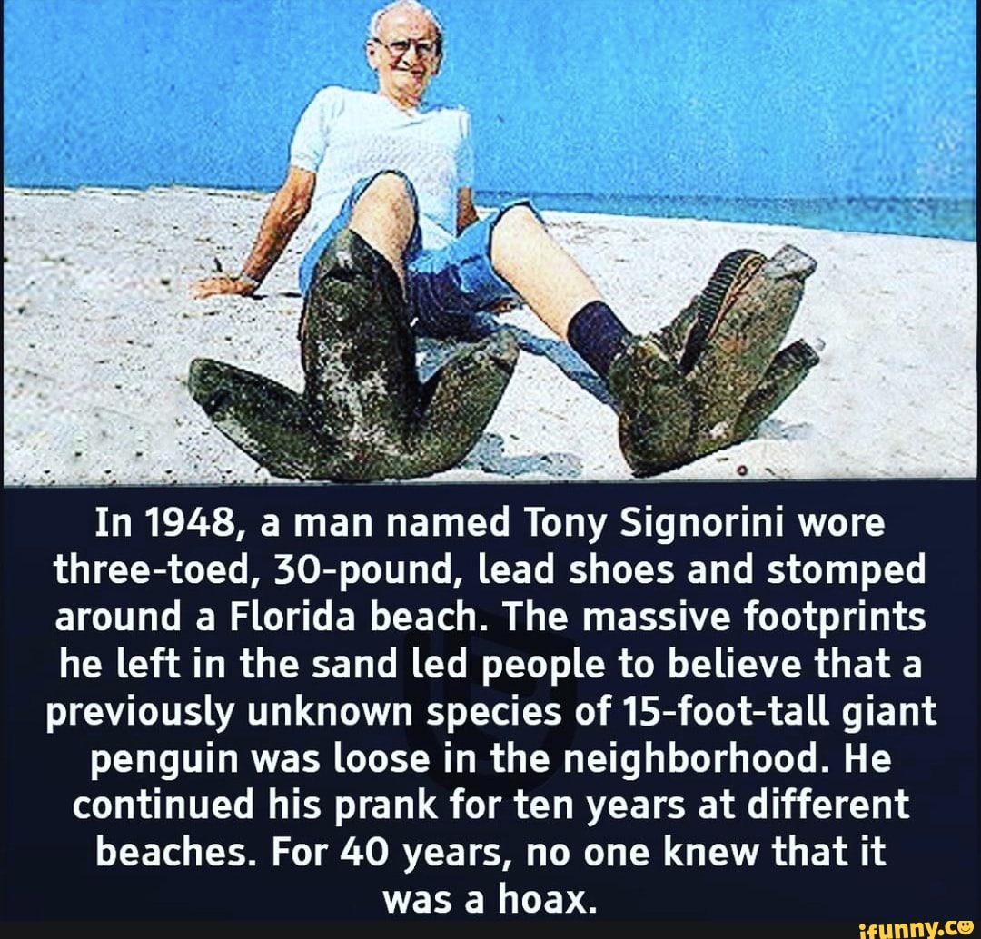 Signorini memes. Best Collection of funny Signorini pictures on iFunny