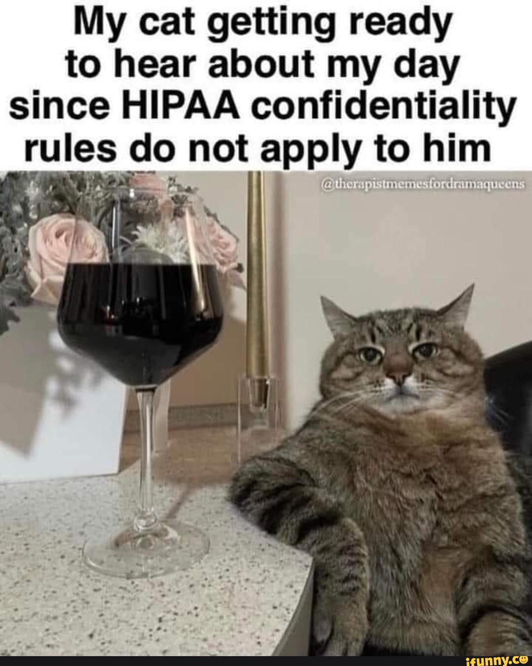 My cat getting ready to hear about my day since HIPAA confidentiality ...