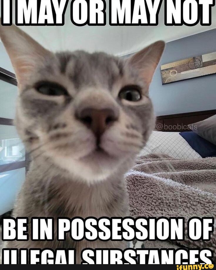 Possession memes. Best Collection of funny Possession pictures on iFunny